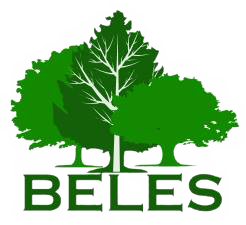 Lesene palete, žagan les, biomasa, sekanci - BELES